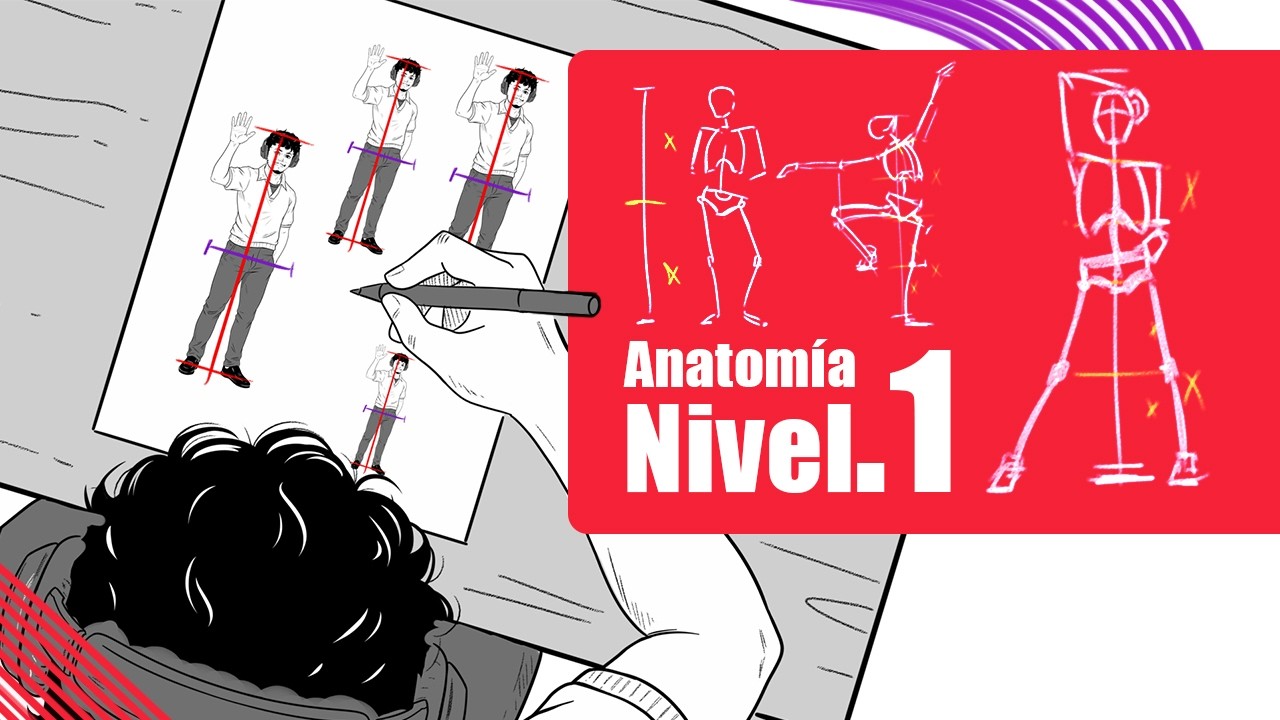 Dibujar Anatomía Básica principiantes ✦ Cómo Dibujar el cuerpo humano ✦ Guz Artema