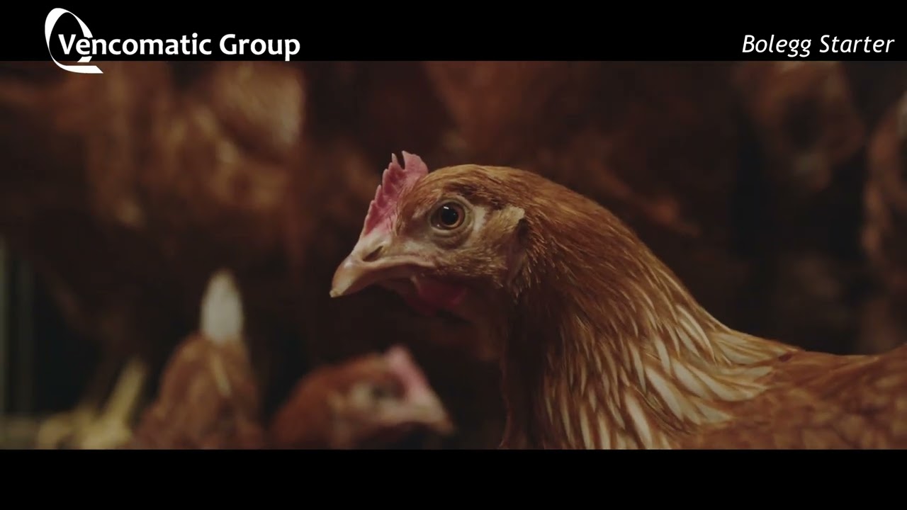 Vencomatic Group: Bolegg Starter ES