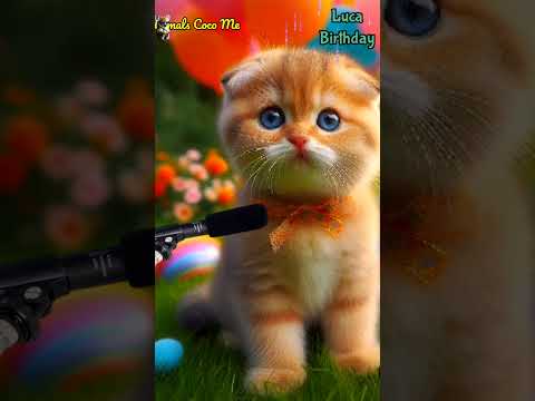 LUCA BIRTHDAY | HAPPY BIRTHDAY SONG WITH NAMES | Adorable Cute Cat ๐บ #cute #cat #happybirthday