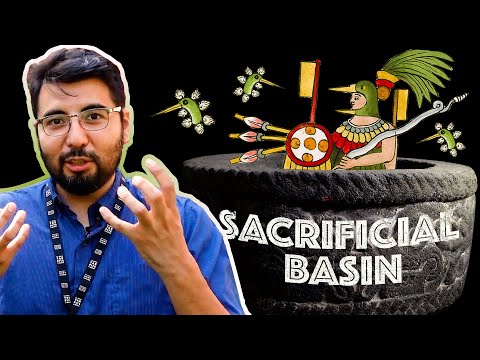 How Hummingbirds Resurrected Aztec Warriors | Undead Hummingbirds: Symbols of Rebirth #Aztec