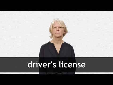 How to pronounce DRIVER'S LICENSE in American English