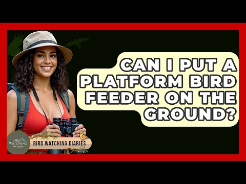 Can I Put A Platform Bird Feeder On The Ground? - Bird Watching Diaries
