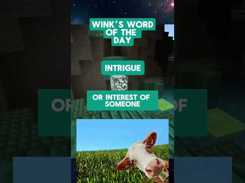 Intrigue | Wink’s Word of the Day