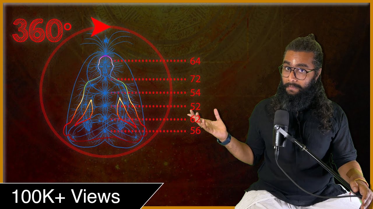 Exploring the Energy Channels of the Human Body: The 360 Pathways from ...