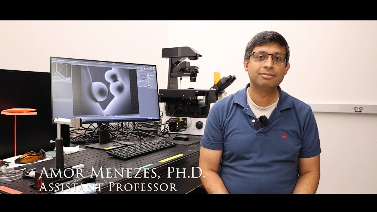 Systems and Synthetic Biological Optimization Regulation Generation Systems Lab - Amor Menezes