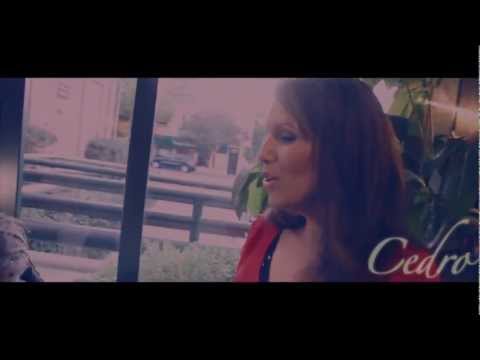 Cedro Ristorante Italiano Commercial