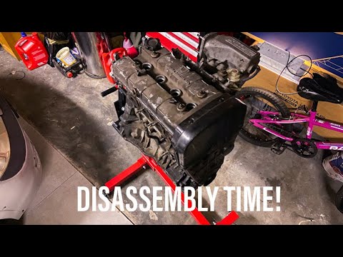 Finally Starting With The D16A1/ZC1 Build!
