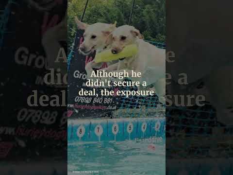 Canine Dip And Dive In Wymondham Reopening After BBC Feature #edp24 #dog #youtubeshortsfeed