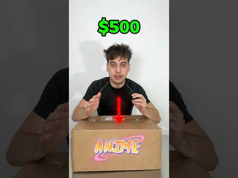 I Opened a $500 Anime BOX!