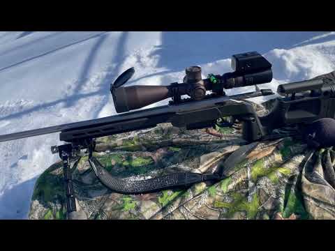 Tikka 243 win Hornady 58gr vs 75gr