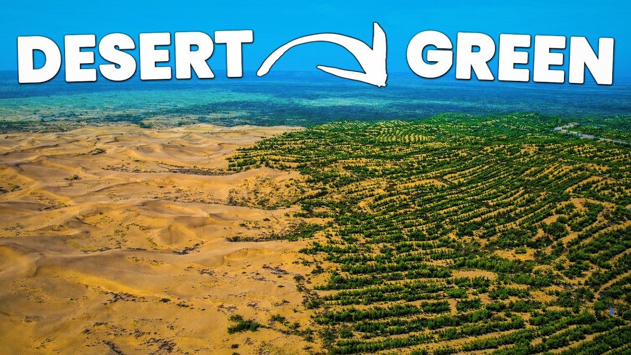 Why China is Turning Deserts Green (It's Going Wrong)