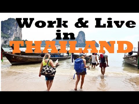 Finance Coordinator job in Bangkok, Thailand//New jobs in Thailand//How to apply job in Thailand