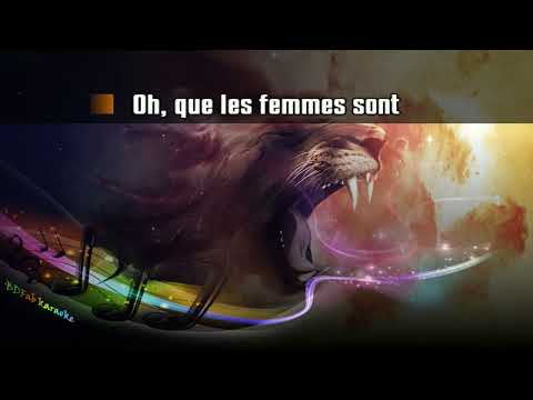 Francis Cabrel - Animal (1989) [BDFab karaoke]