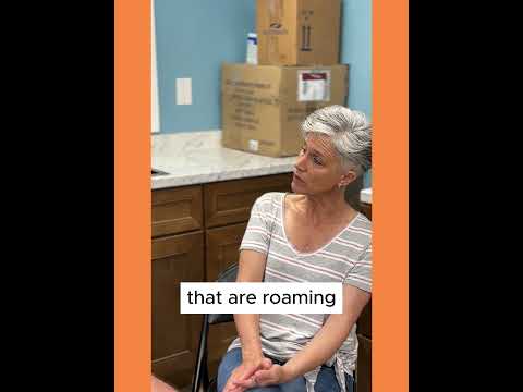 Where Should Your Dog Sleep? Dog Training Advice, Marc Smith, DVM, MS