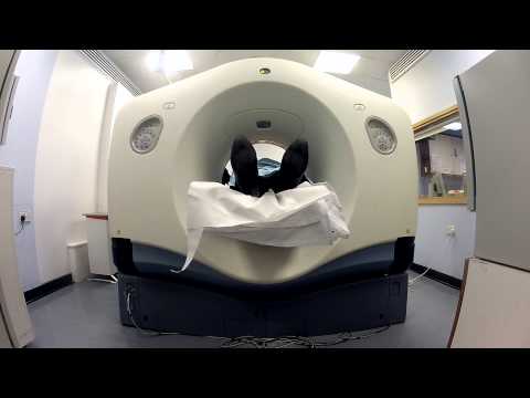 Cardiac CT scan