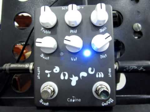 Caline CP-15 Tantrum Heavy Metal Distortion Pedal True | Reverb UK