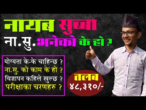 All About Nayab Subba | Nasu ko Kaam k Ho? | Salary | Qualification | Work | Nasu kasari banne ?