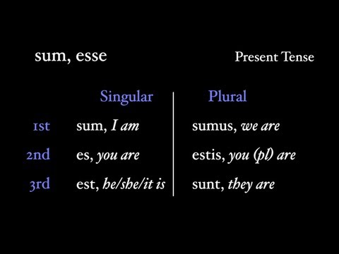 Irregular Verbs: sum, esse
