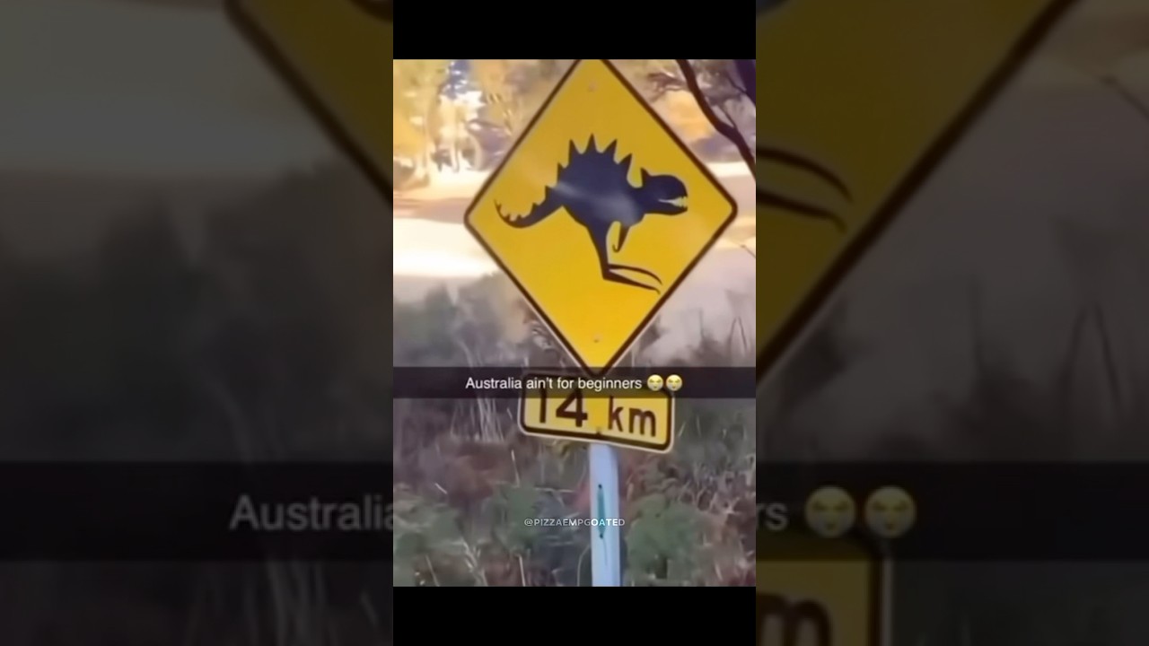 Linggang guli guli guli gwatcha 🗣️🗣️🔥🔥 #shorts #meme #memes