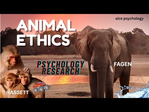 AS Level Psychology: Animal Ethics in Psychology