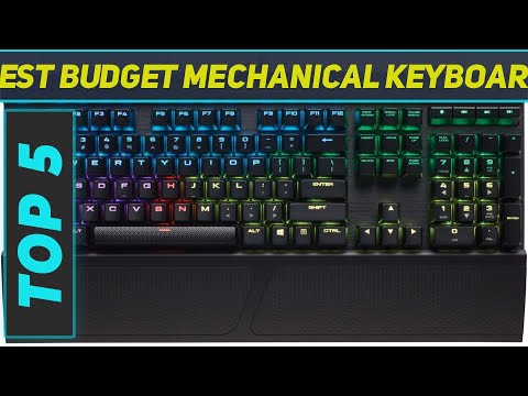 Top 5 Best Budget Mechanical Keyboard in 2023