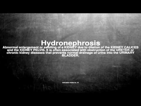 Medical vocabulary: What does Hydronephrosis mean