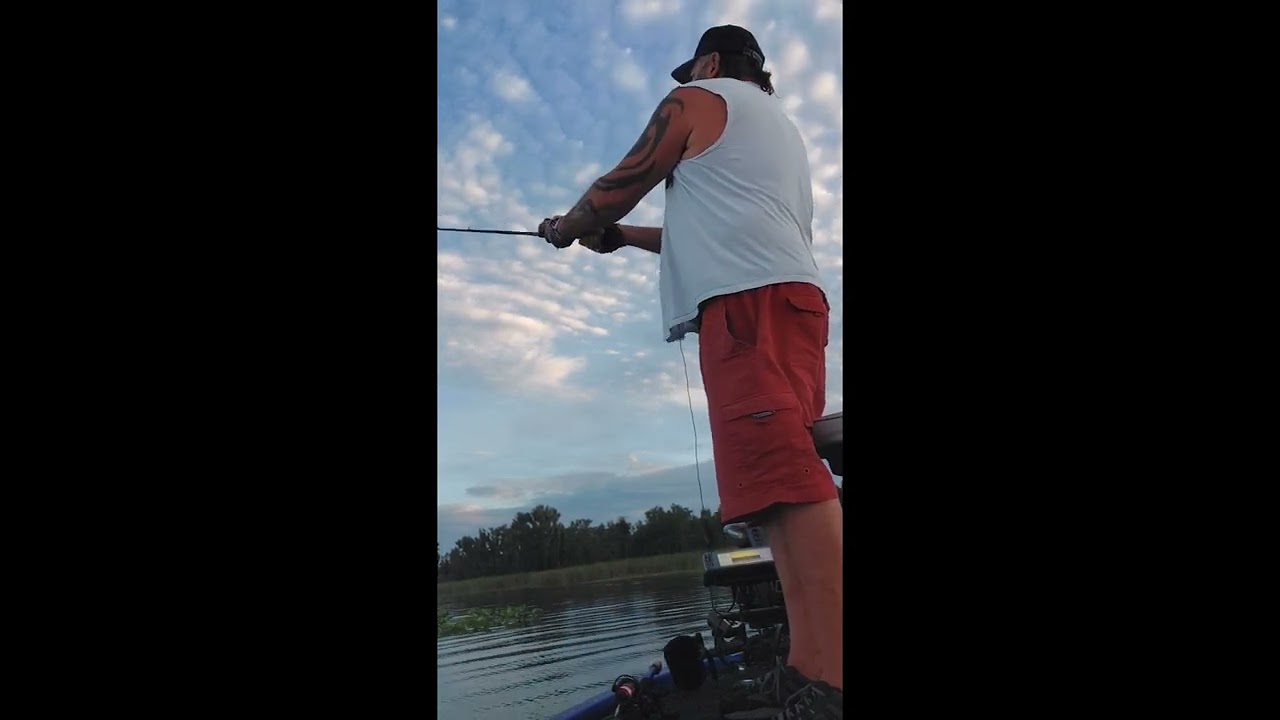How to catch fish using a lizard Texas rig