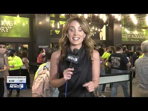 Shannan Ferry - NYC Reporter Montage