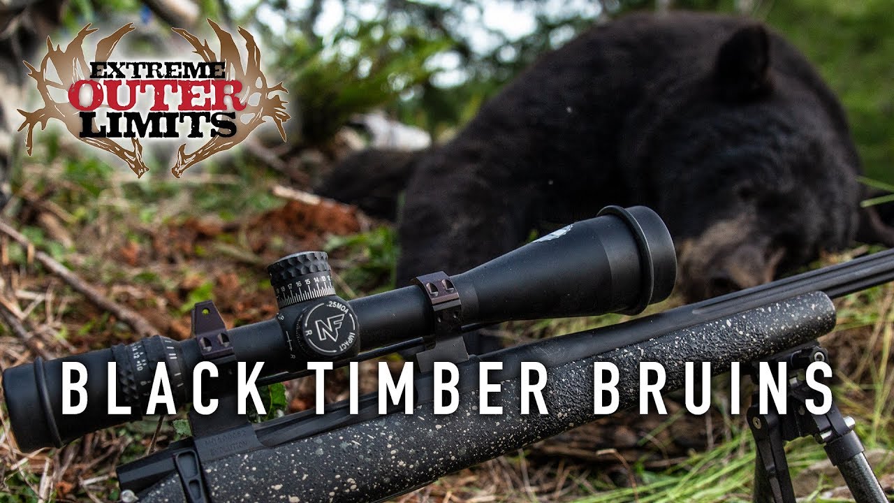 Spring Bear Hunting in Oregon - 2 Bears Down!