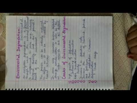 Environmental degradation meaning and its causes