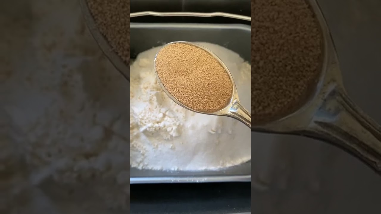 Jewish Food: Baking a Challah in a Bread Maker