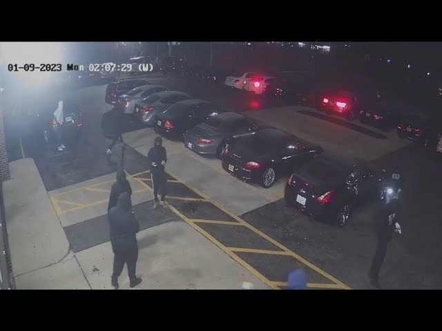 WATCH: Video shows Chicago-area thieves breaking into car dealership ...
