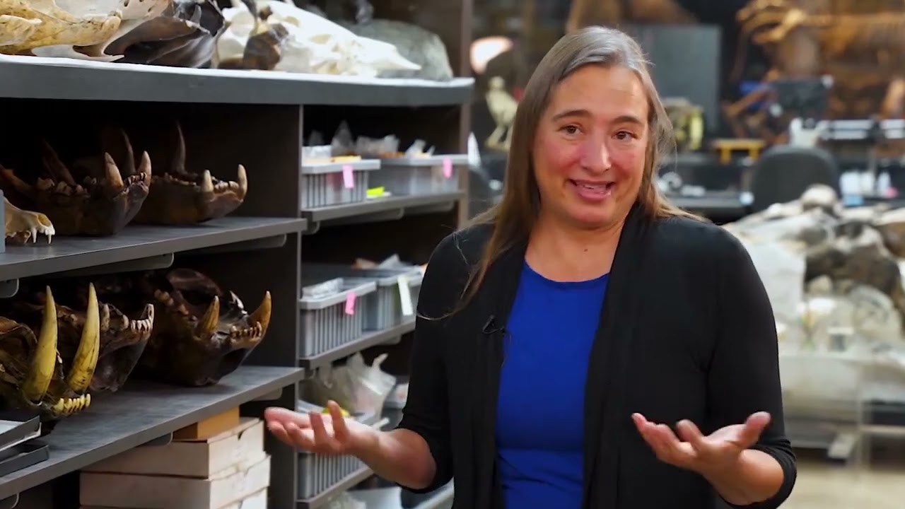 The La Brea Tarpits and the Media Archeology Lab