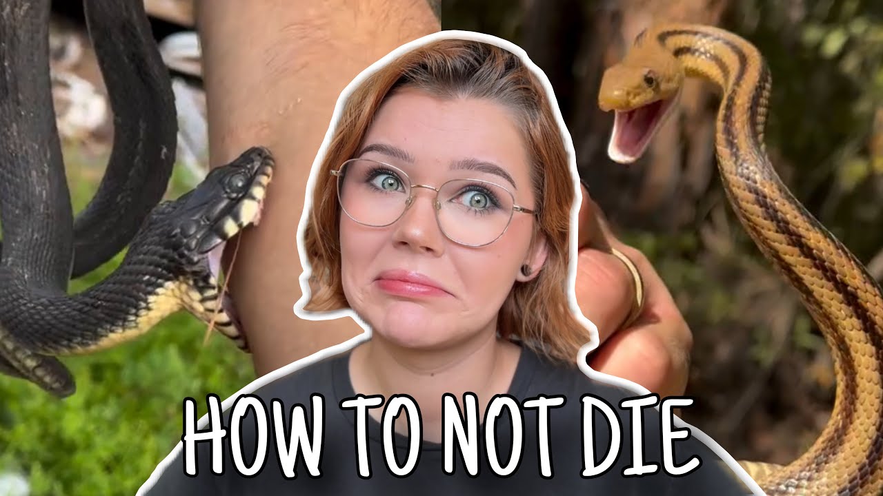 The ULTIMATE Herping Guide | Do's and Don'ts