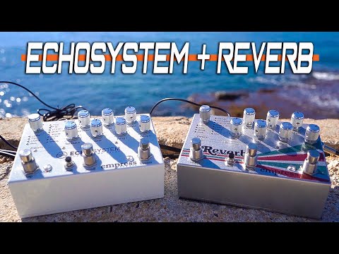 Empress Echosystem & Reverb & Midi Box 2 PACKAGE | Reverb