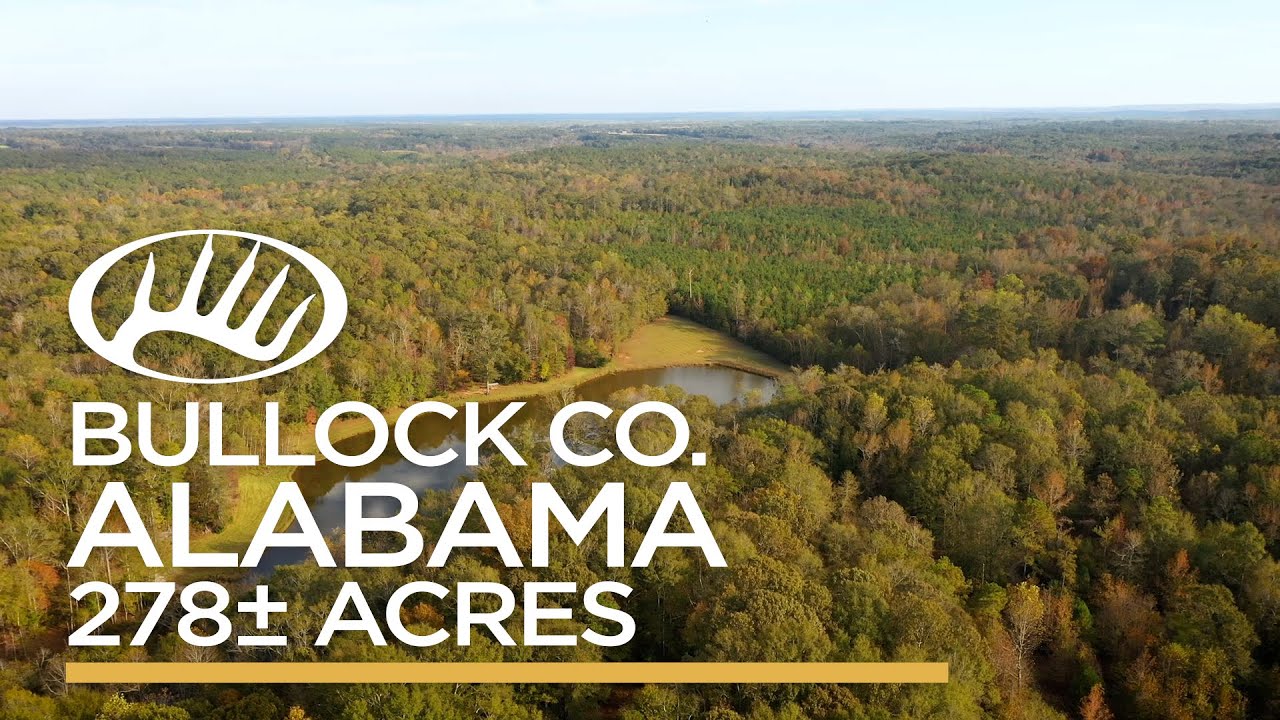Bullock County, AL 278± Acres