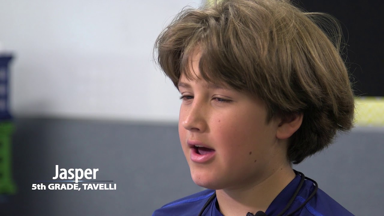 Tavelli Data Binders