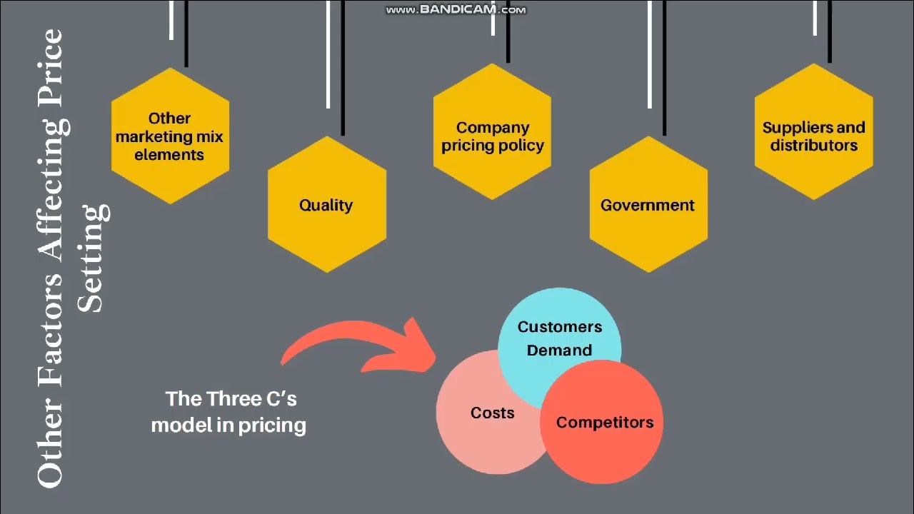 Chapter 9 : Pricing Strategies And Programs