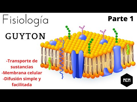 Transporte de sustancias a través de la membrana Parte I | Guyton | Fácil, rápido y sencillo