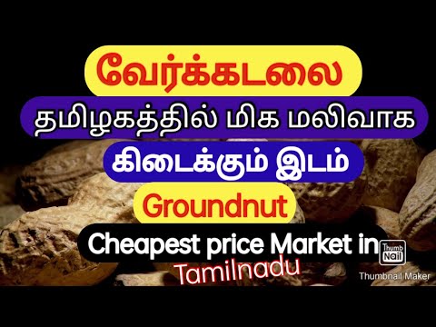 Small Business Ideas in Tamil || Groundnut Wholesale Market in Tamilnadu