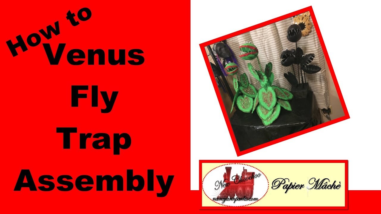 Venus Fly Trap Assembly - How To