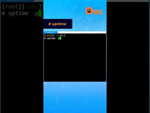 Do you know your server uptime?