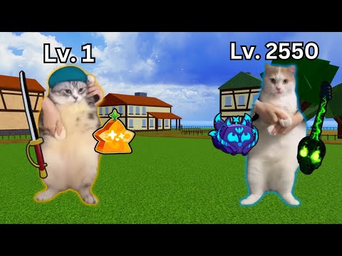 Blox Fruits But It's Cats. | The Movie