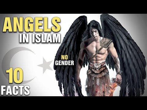 Allah Created Three Intelligent Life-forms (Part 1 of 4) – Interfaith ...