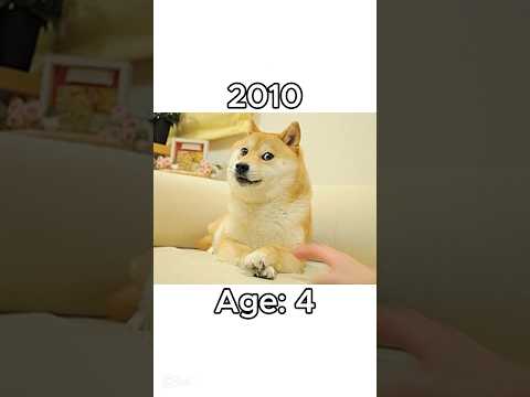 Legendary Animal Memes That Have Died 😢 #shorts #memes #nostalgia #memories #legends #animals