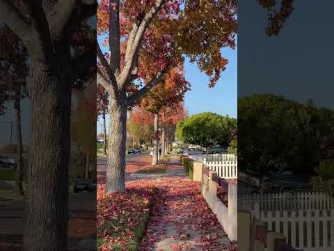 Do you know when autumn starts in California? It comes in winter. #california #winter #withoutsnow
