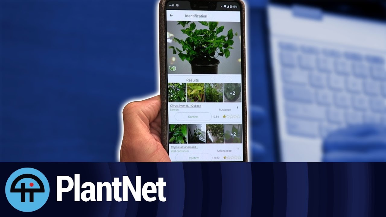 PlantNet for Android