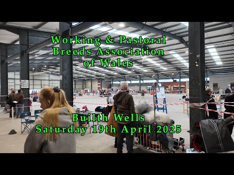Applejem Working and Pastoral Breeds Association of Wales 19052025