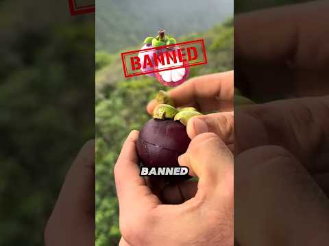 This Fruit Was Banned in the US for Years!ππ«