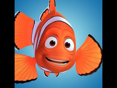 What is the plural of fish?